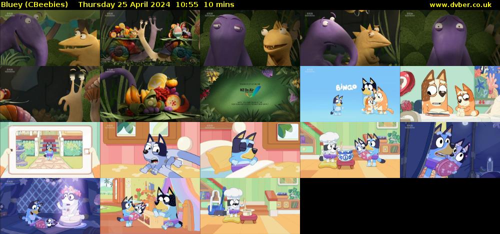 Bluey (CBeebies) - 2024-04-25-1055