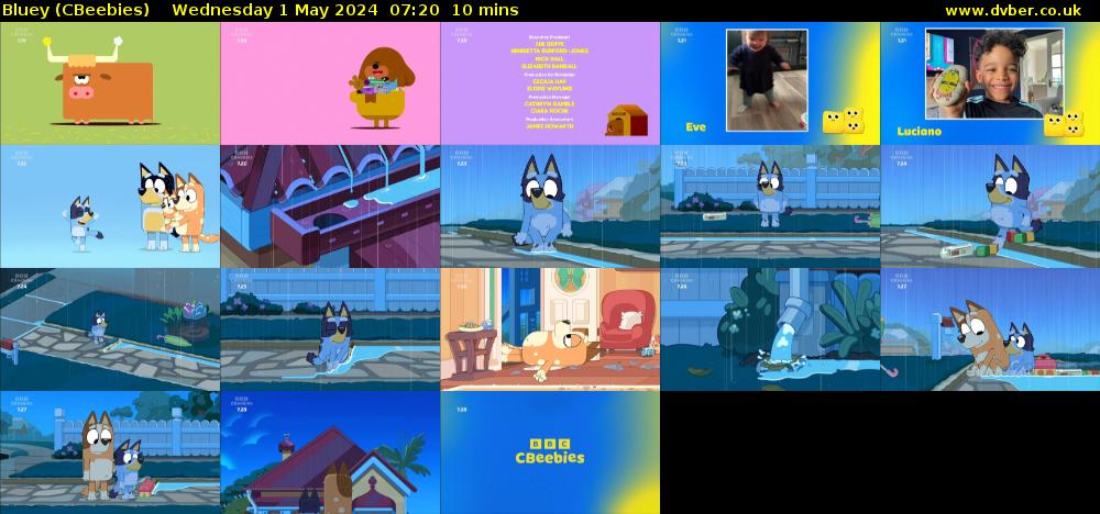 Bluey (CBeebies) - 2024-05-01-0720