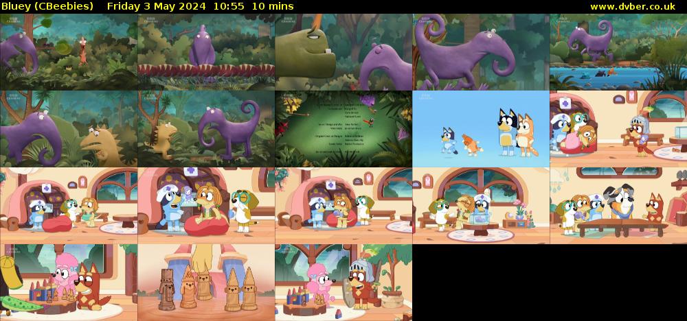 Bluey (CBeebies) - 2024-05-03-1055