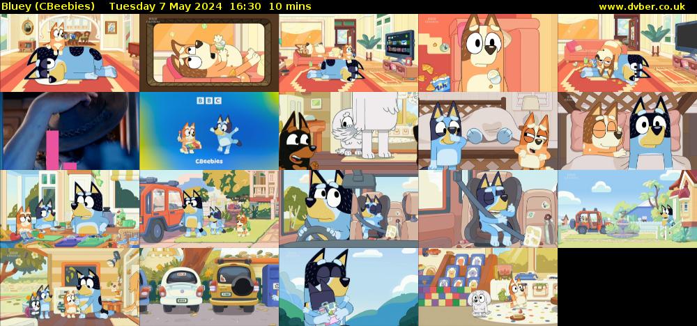 Bluey (CBeebies) - 2024-05-07-1630