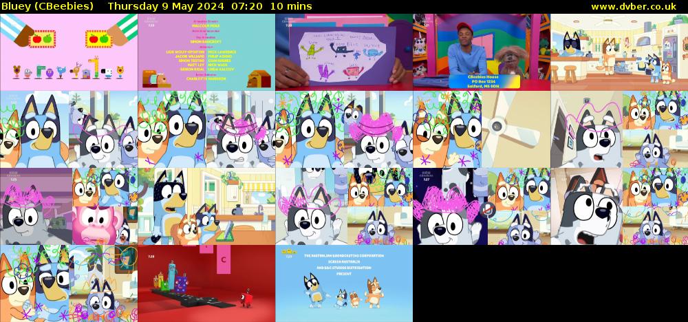 Bluey (CBeebies) - 2024-05-09-0720