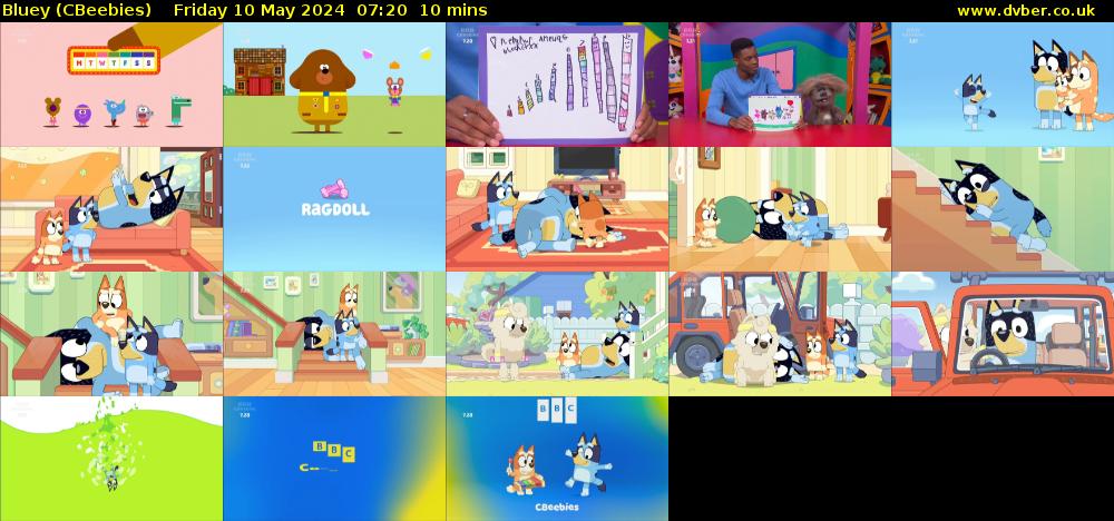 Bluey (CBeebies) - 2024-05-10-0720