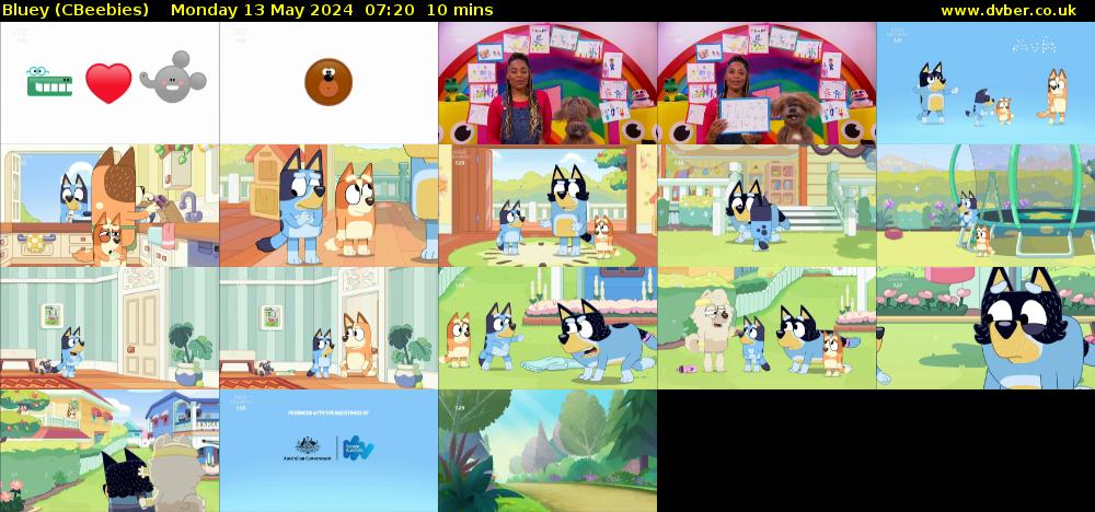 Bluey (CBeebies) - 2024-05-13-0720