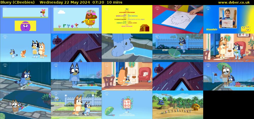 Bluey (CBeebies) - 2024-05-22-0720