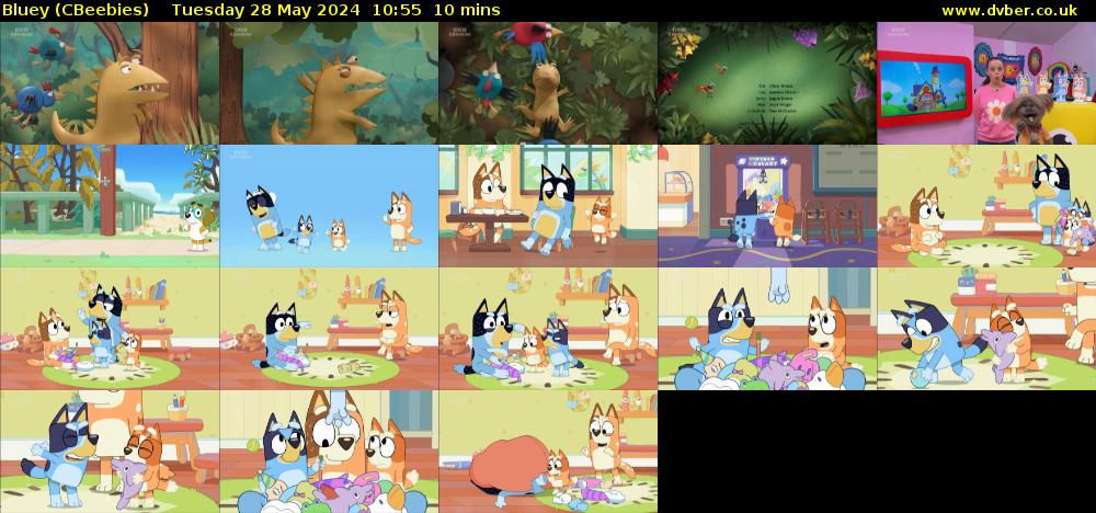 Bluey (CBeebies) - 2024-05-28-1055
