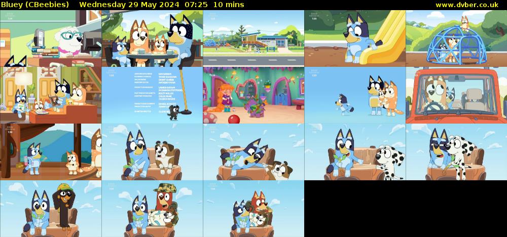 Bluey (CBeebies) - 2024-05-29-0725