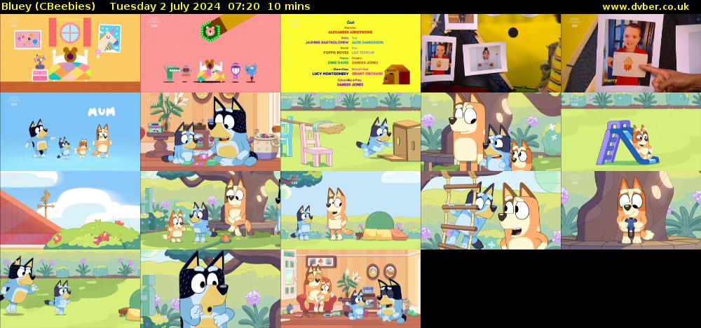 Bluey (CBeebies) - 2024-07-02-0720