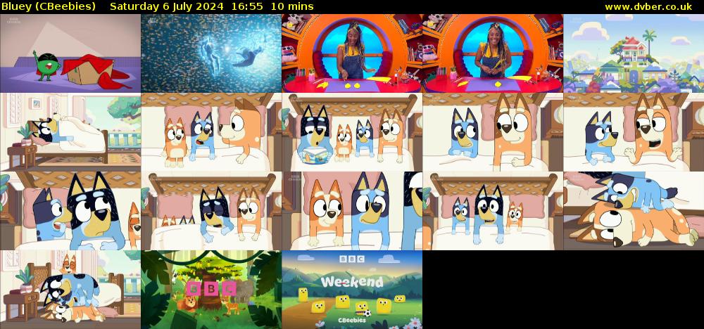 Bluey (CBeebies) - 2024-07-06-1655
