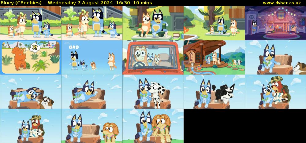 Bluey (CBeebies) - 2024-08-07-1630