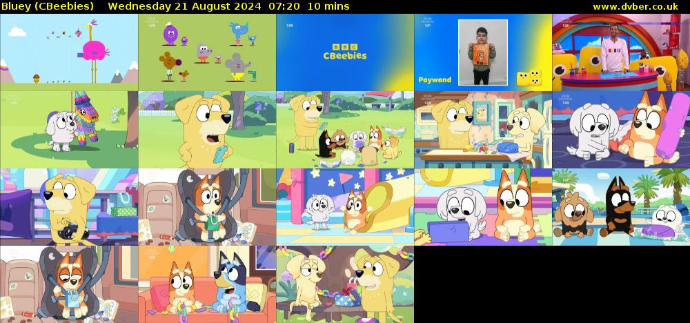 Bluey (CBeebies) - 2024-08-21-0720