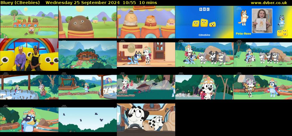 Bluey (CBeebies) - 2024-09-25-1055