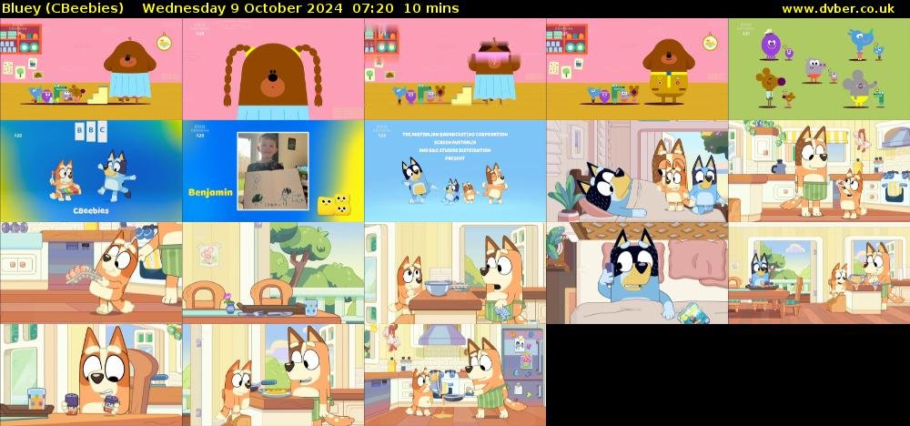 Bluey (CBeebies) - 2024-10-09-0720