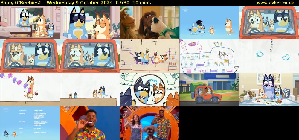 Bluey (CBeebies) - 2024-10-09-0730