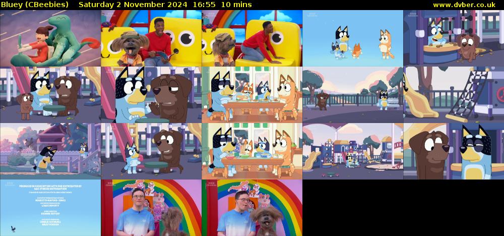 Bluey (CBeebies) - 2024-11-02-1655