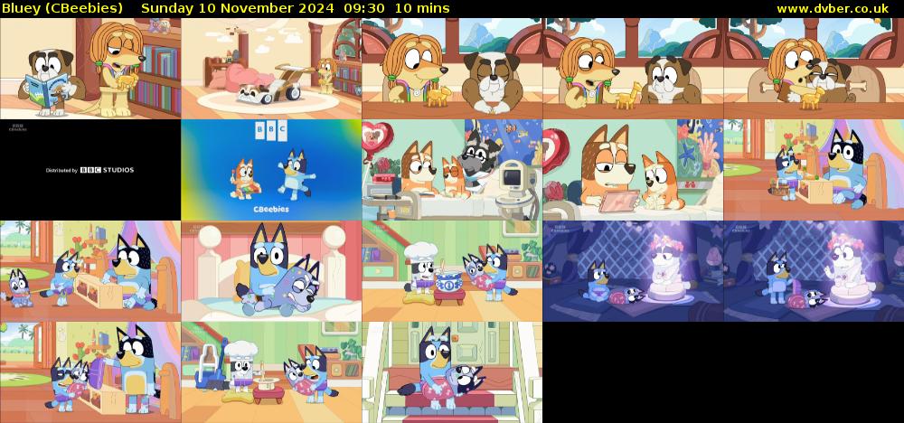 Bluey (CBeebies) - 2024-11-10-0930