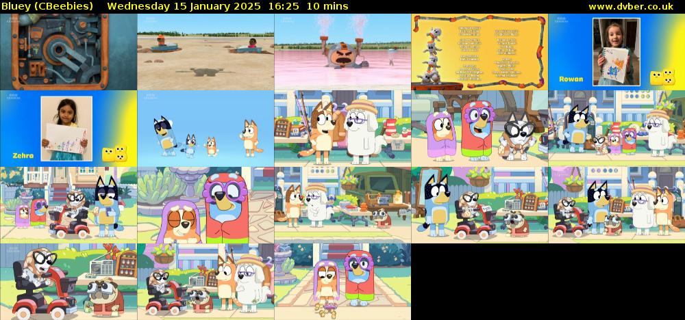 Bluey (CBeebies) - 2025-01-15-1625