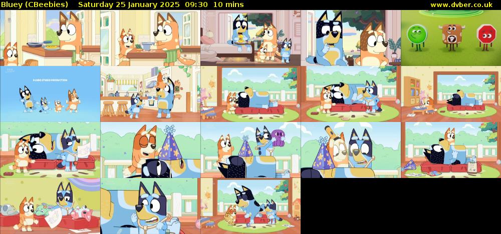Bluey (CBeebies) - 2025-01-25-0930