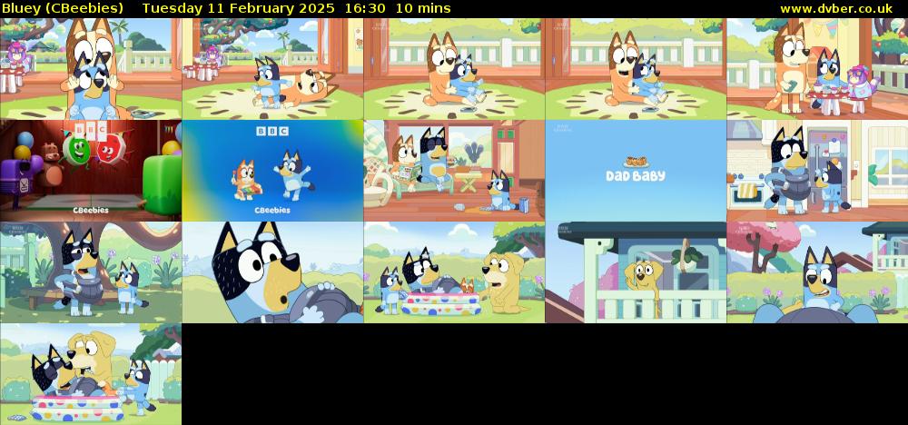 Bluey (CBeebies) - 2025-02-11-1630