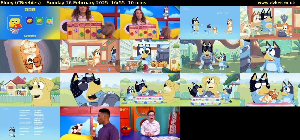 Bluey (CBeebies) - 2025-02-16-1655