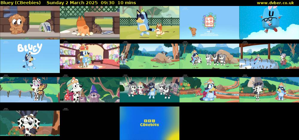 Bluey (CBeebies) - 2025-03-02-0930