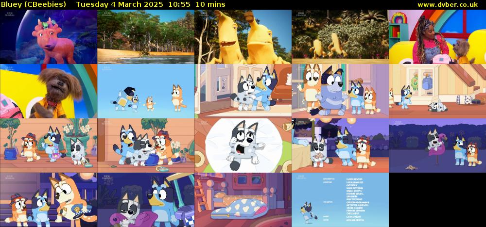 Bluey (CBeebies) - 2025-03-04-1055