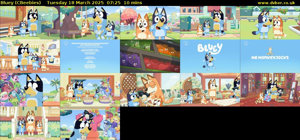 Bluey (CBeebies) - 2025-03-18-0725