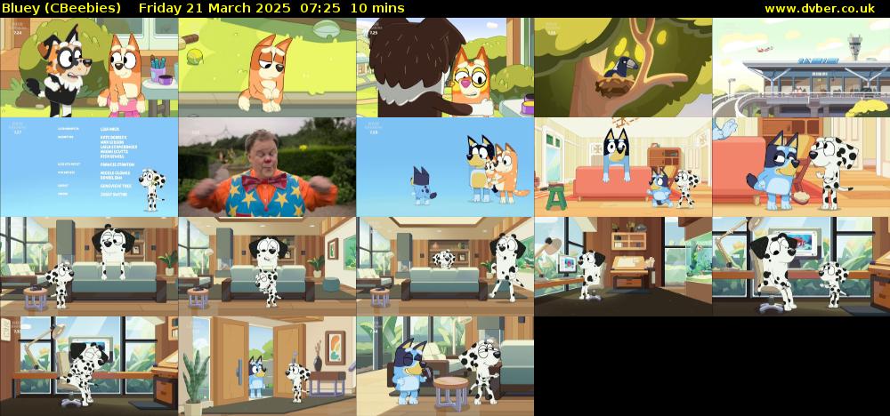 Bluey (CBeebies) - 2025-03-21-0725