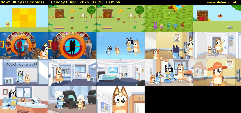 Bluey (CBeebies) - 2025-04-08-0720