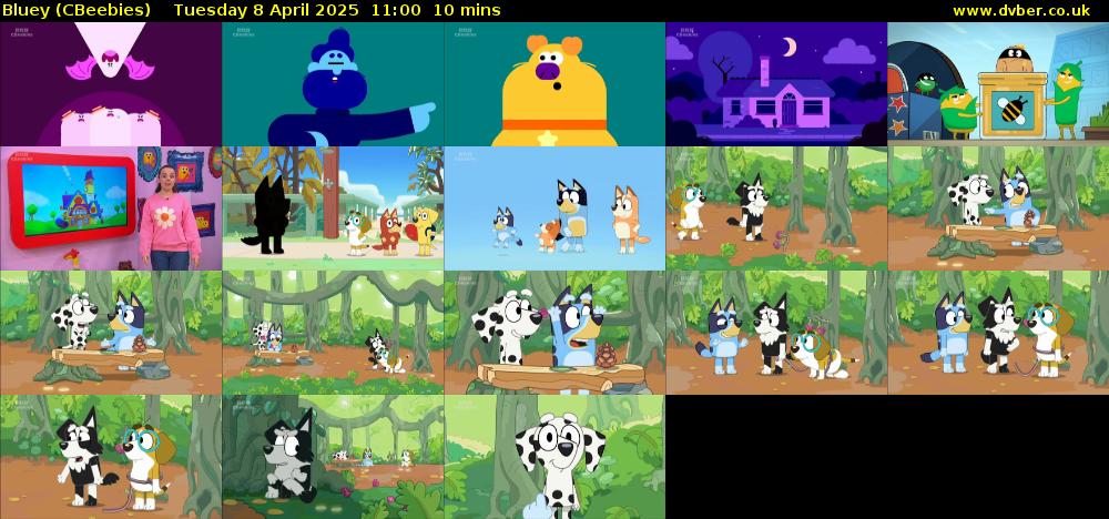 Bluey (CBeebies) - 2025-04-08-1100