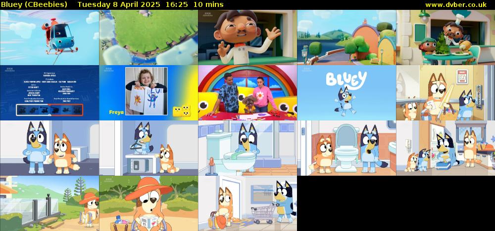 Bluey (CBeebies) - 2025-04-08-1625
