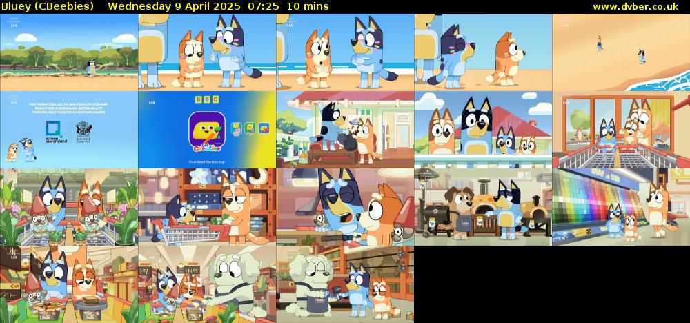 Bluey (CBeebies) - 2025-04-09-0725