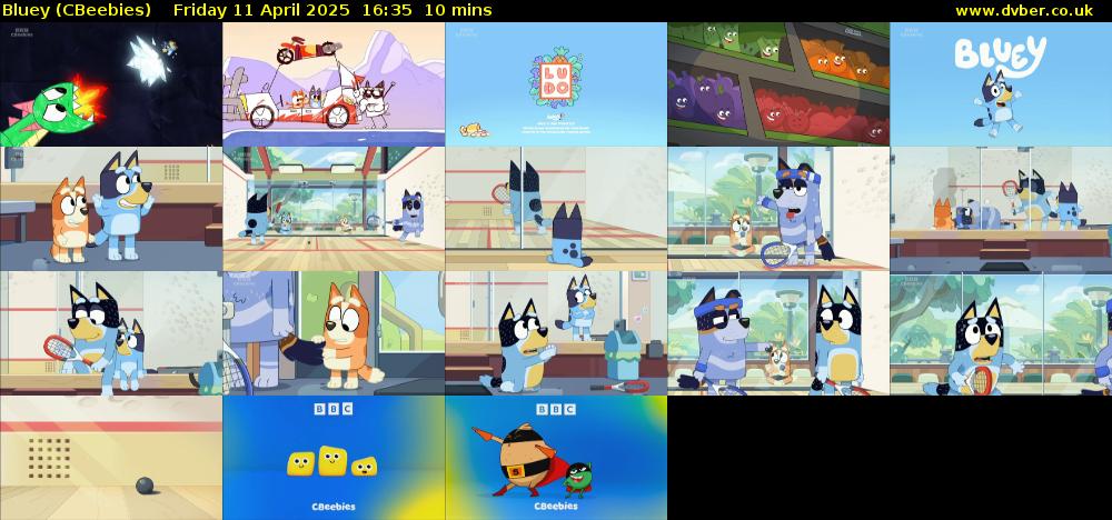 Bluey (CBeebies) - 2025-04-11-1635