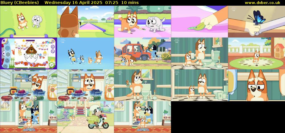 Bluey (CBeebies) - 2025-04-16-0725