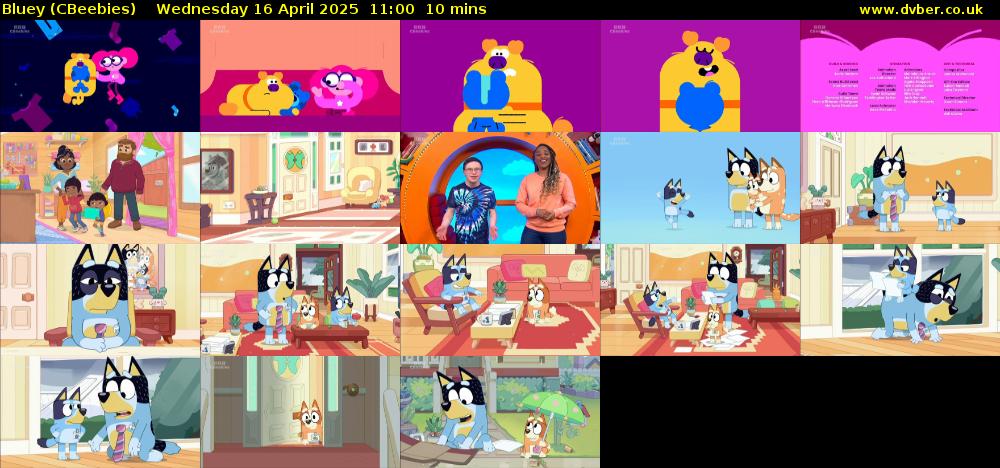 Bluey (CBeebies) - 2025-04-16-1100