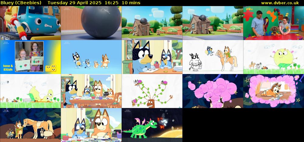 Bluey (CBeebies) - 2025-04-29-1625