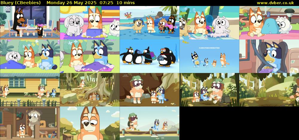 Bluey (CBeebies) - 2025-05-26-0725