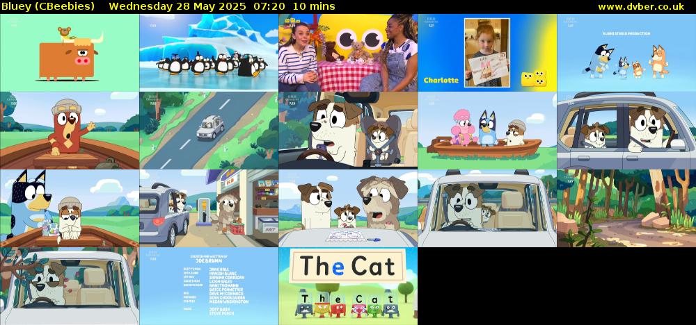 Bluey (CBeebies) - 2025-05-28-0720