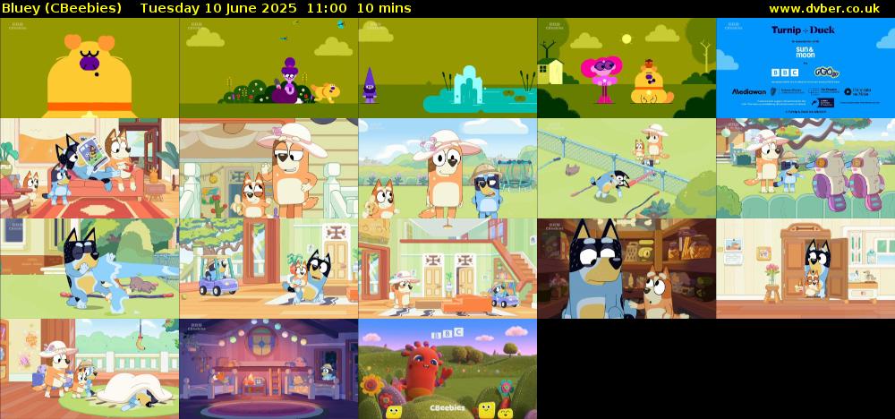 Bluey (CBeebies) - 2025-06-10-1100