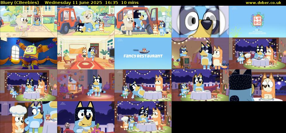 Bluey (CBeebies) - 2025-06-11-1635