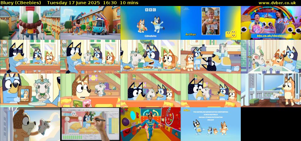 Bluey (CBeebies) - 2025-06-17-1630