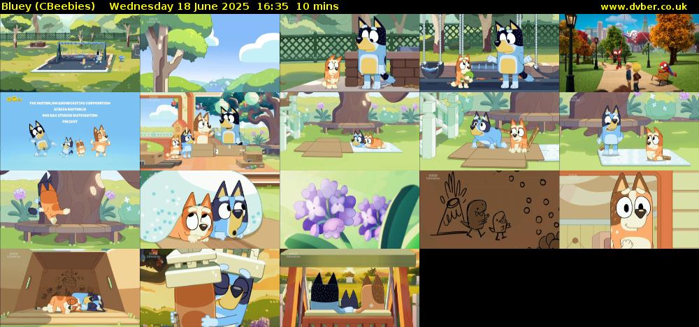 Bluey (CBeebies) - 2025-06-18-1635
