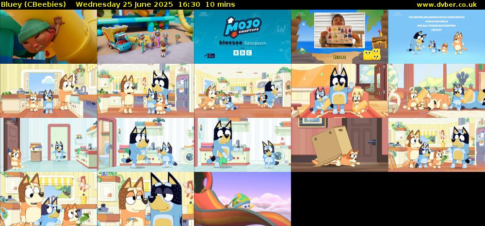 Bluey (CBeebies) - 2025-06-25-1630