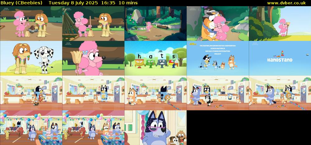 Bluey (CBeebies) - 2025-07-08-1635