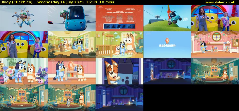 Bluey (CBeebies) - 2025-07-16-1630