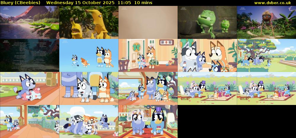 Bluey (CBeebies) - 2025-10-15-1105