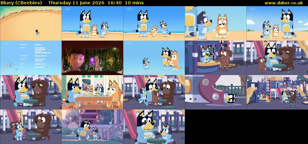 Bluey (CBeebies) - 2026-06-11-1640