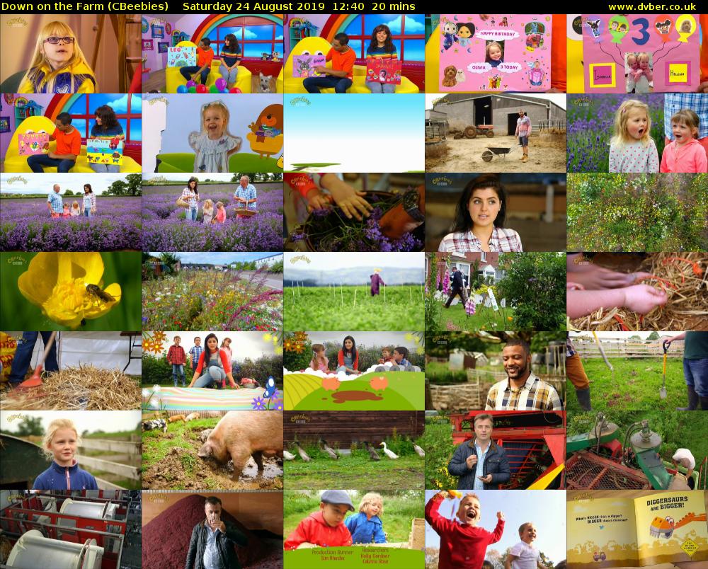 Down on the Farm (CBeebies) - 2019-08-24-1240