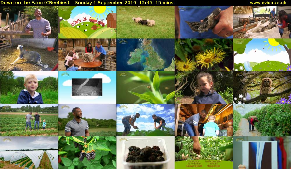 Down on the Farm (CBeebies) - 2019-09-01-1245