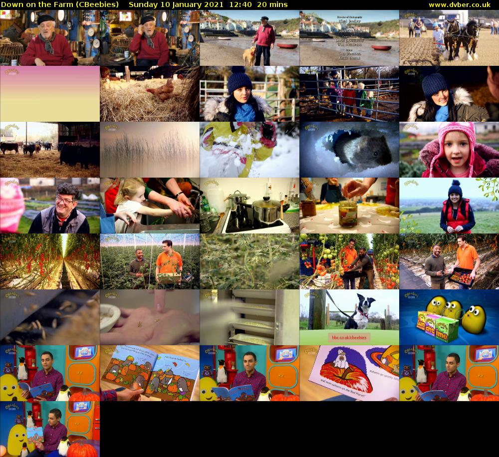 Down on the Farm (CBeebies) - 2021-01-10-1240