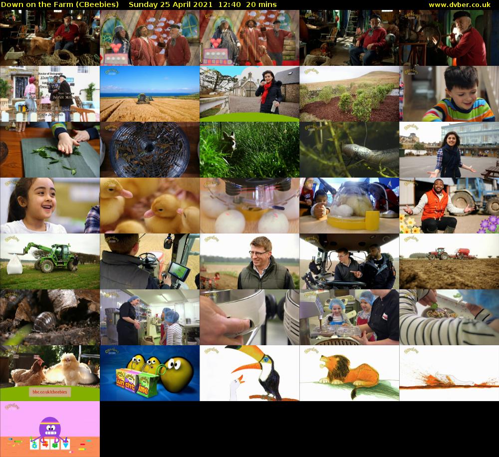 Down on the Farm (CBeebies) - 2021-04-25-1240
